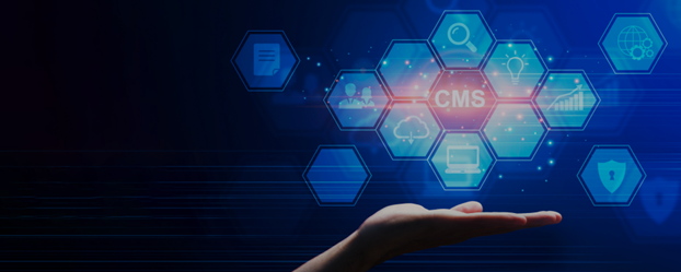 Optimizely Content Management System with Advanced Personalization | Altudo